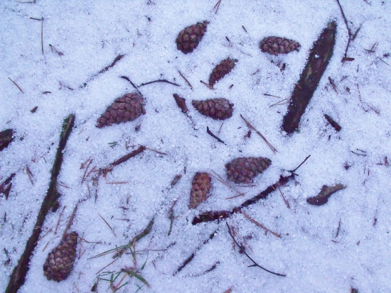 a little bit of snow - Ailish Sinclair