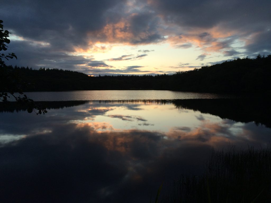 Hello, Darkness, My Old Friend - Ailish Sinclair