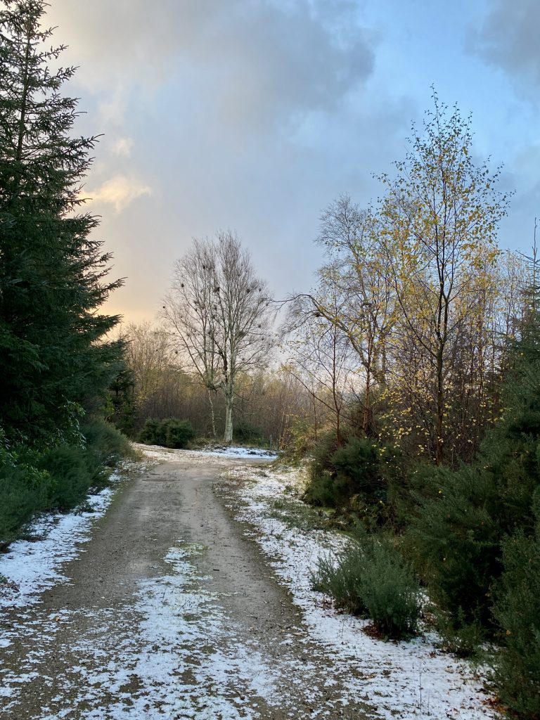 The First Sprinkling of Snow - Ailish Sinclair