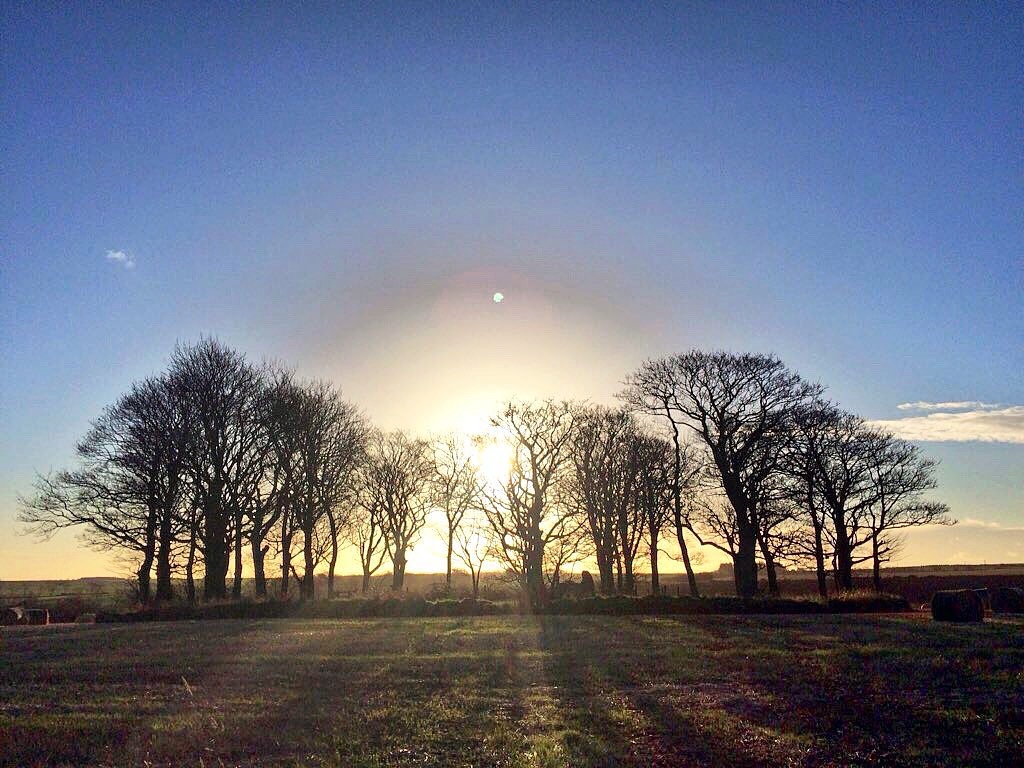 Shortest Day, Longest Shadows - Ailish Sinclair