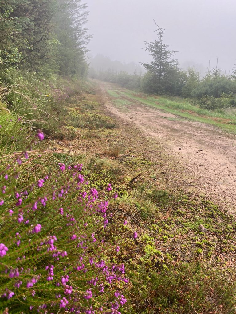 A Misty Monday Morning - Ailish Sinclair